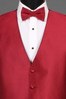 Tiffany Blue Bradbury Vest | Savvi Formalwear